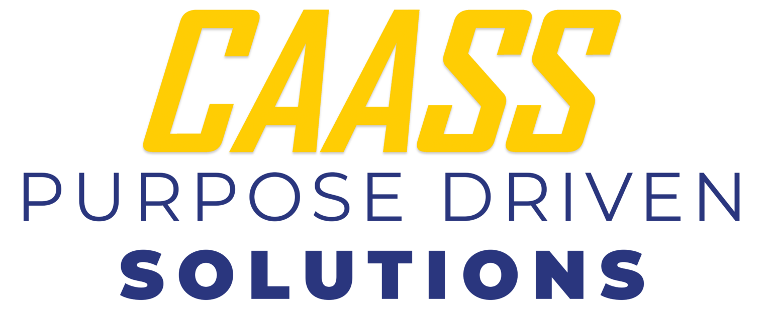 NYC School Safety Solutions - Access411